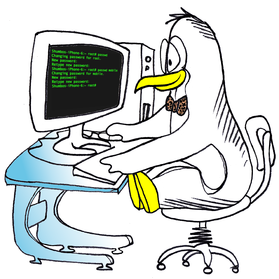 Los comandos básicos de terminal en Linux: - Instituto Linux