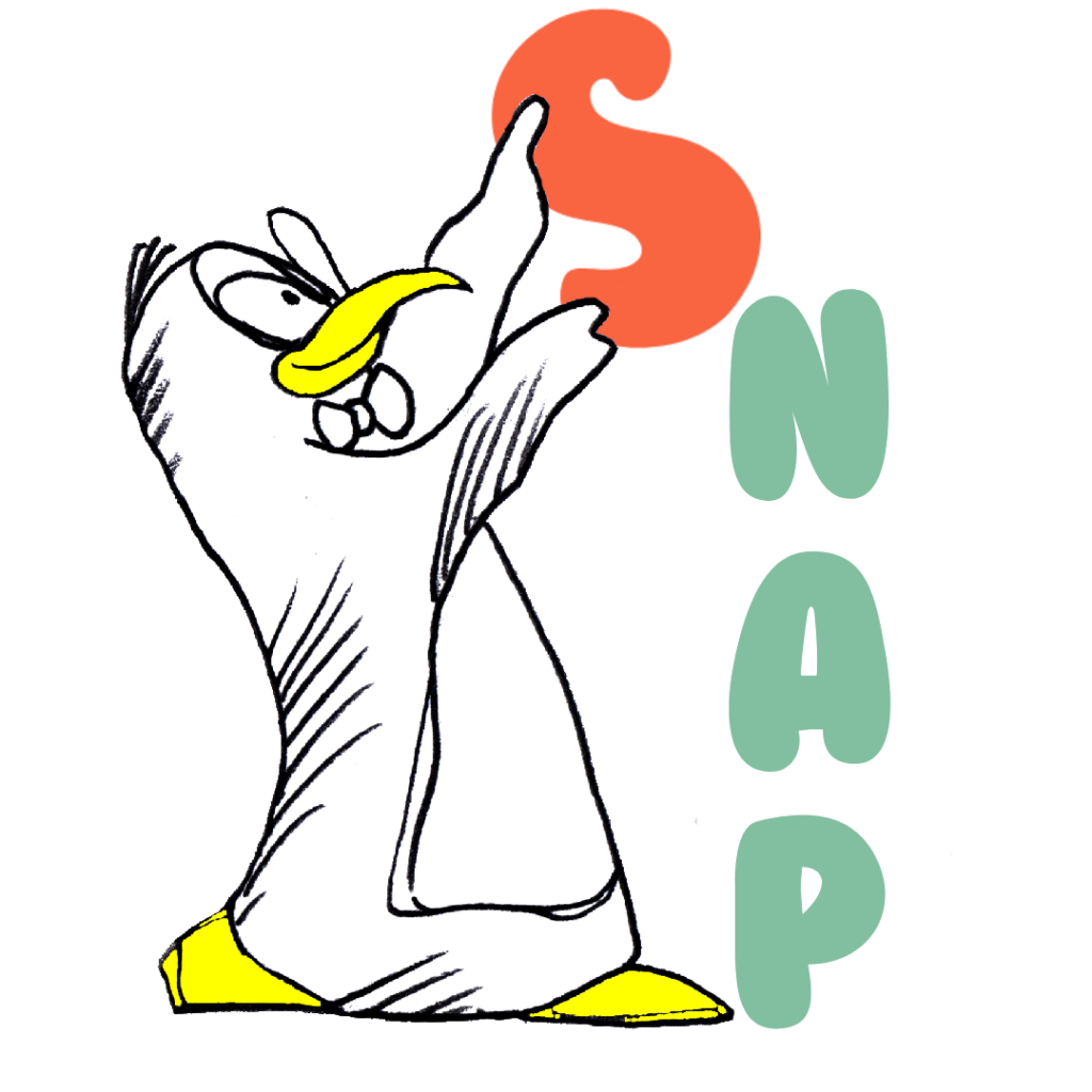 SNAP en Linux - Instituto Linux